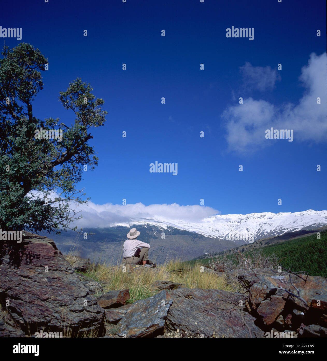 Pitres hi-res stock photography and images - Alamy