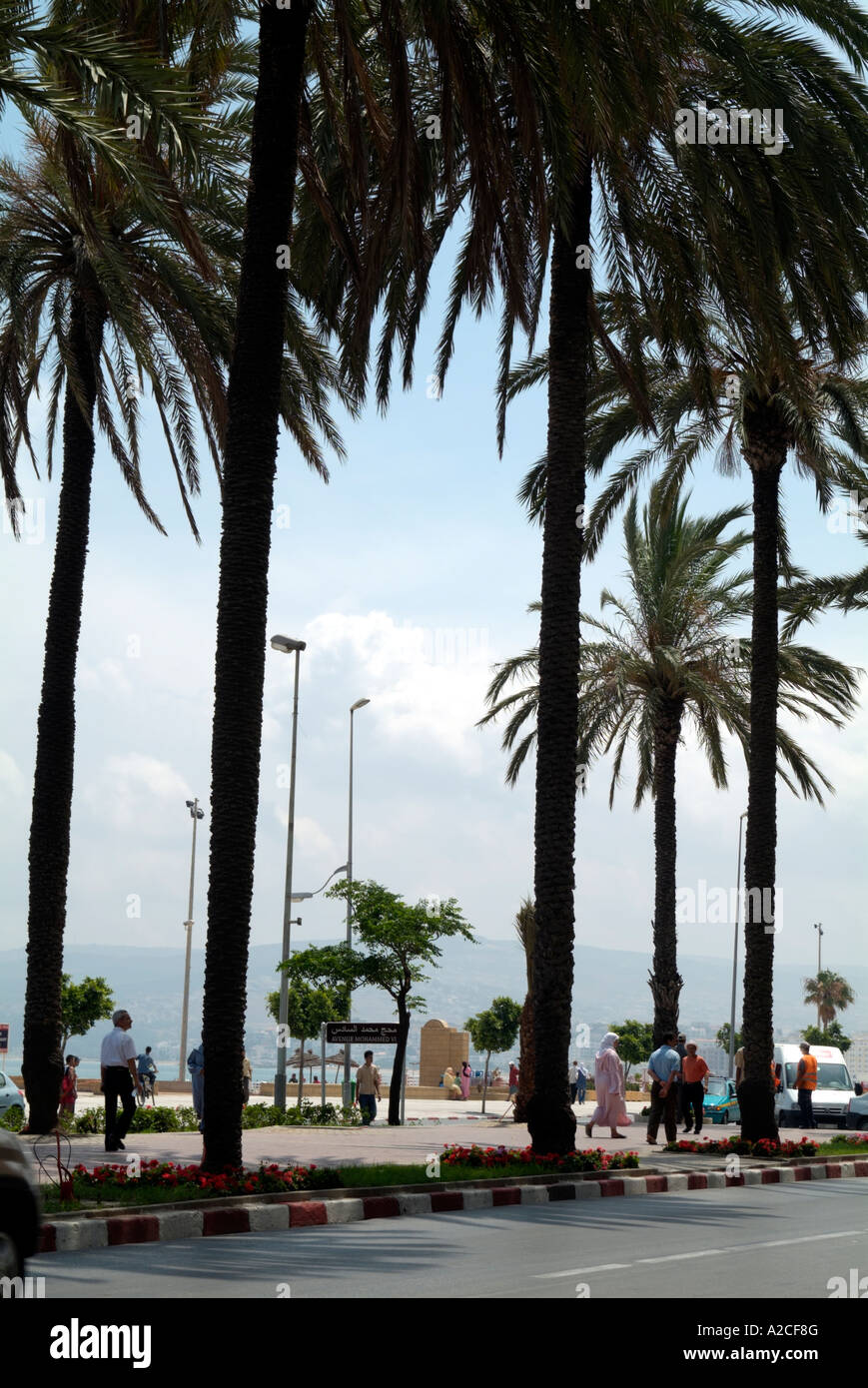 POEPLE WALKING ALONG THE PAVED PALM TREE LINED PROMENADE Stock Photo ...