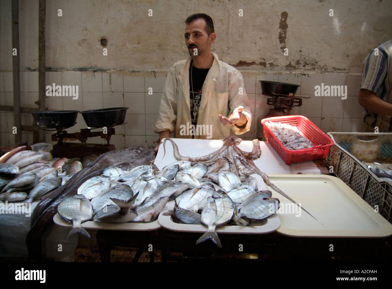Inside the fishmarket hi-res stock photography and images - Alamy
