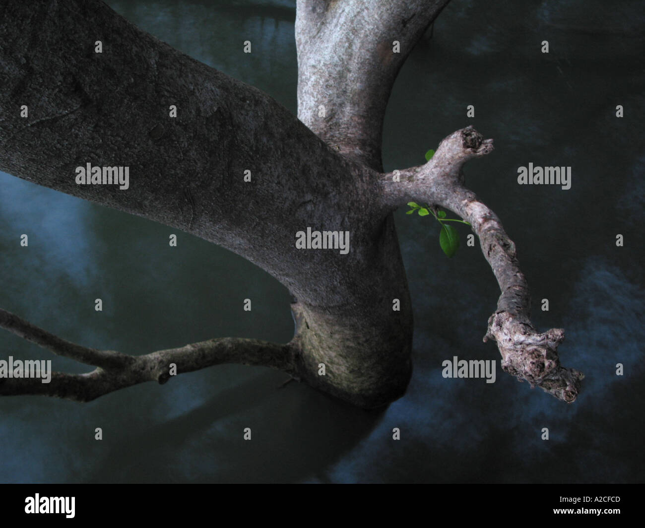 Living in brisbane hi-res stock photography and images - Alamy