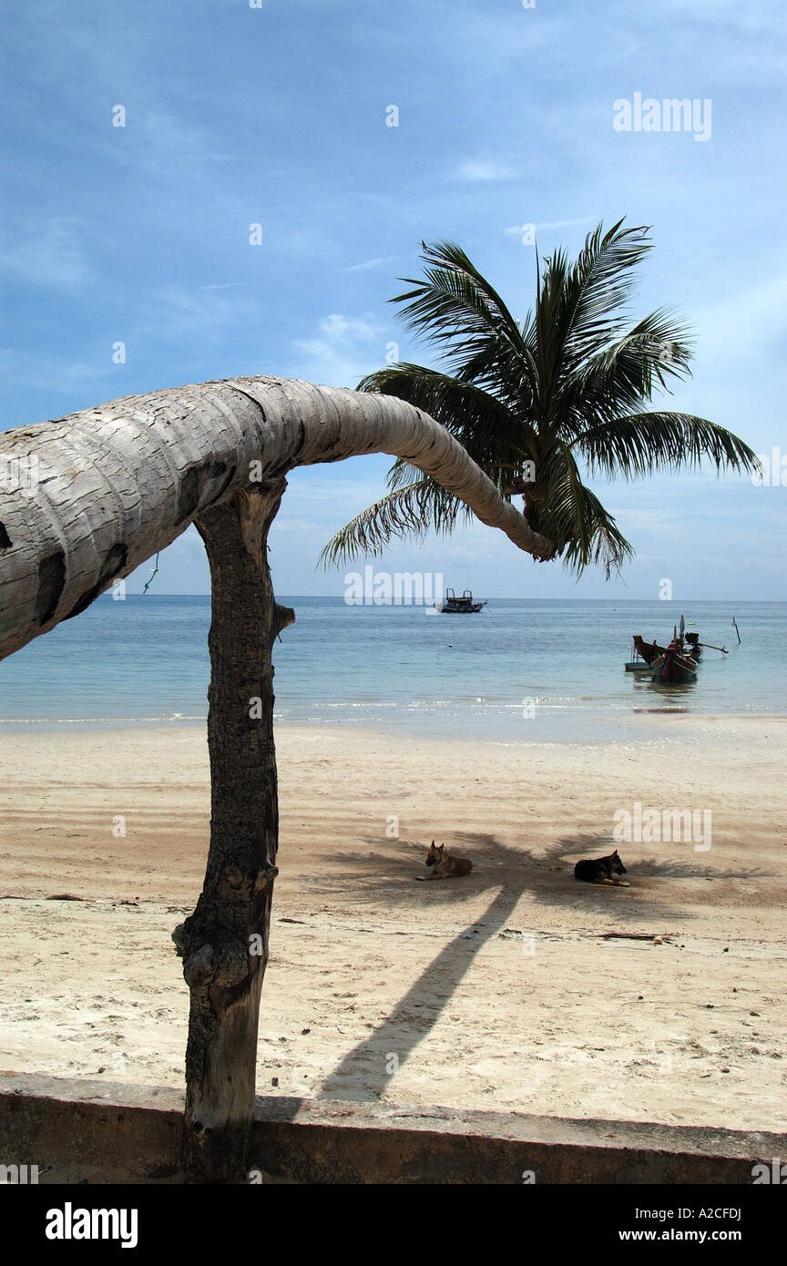 Thailand stunning beach boats in hi-res stock photography and images ...
