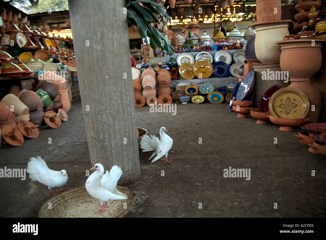 Painted doves hi-res stock photography and images - Alamy
