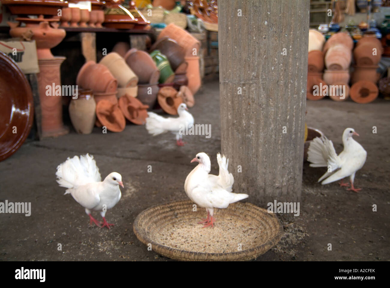 Doves at the market Stock Photo - Alamy