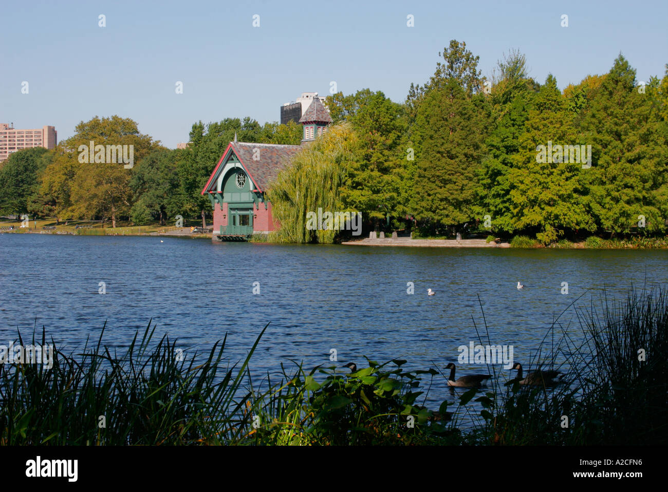 Dana Discovery Center Harlem Meer Central Park Manhattan New York Stock ...