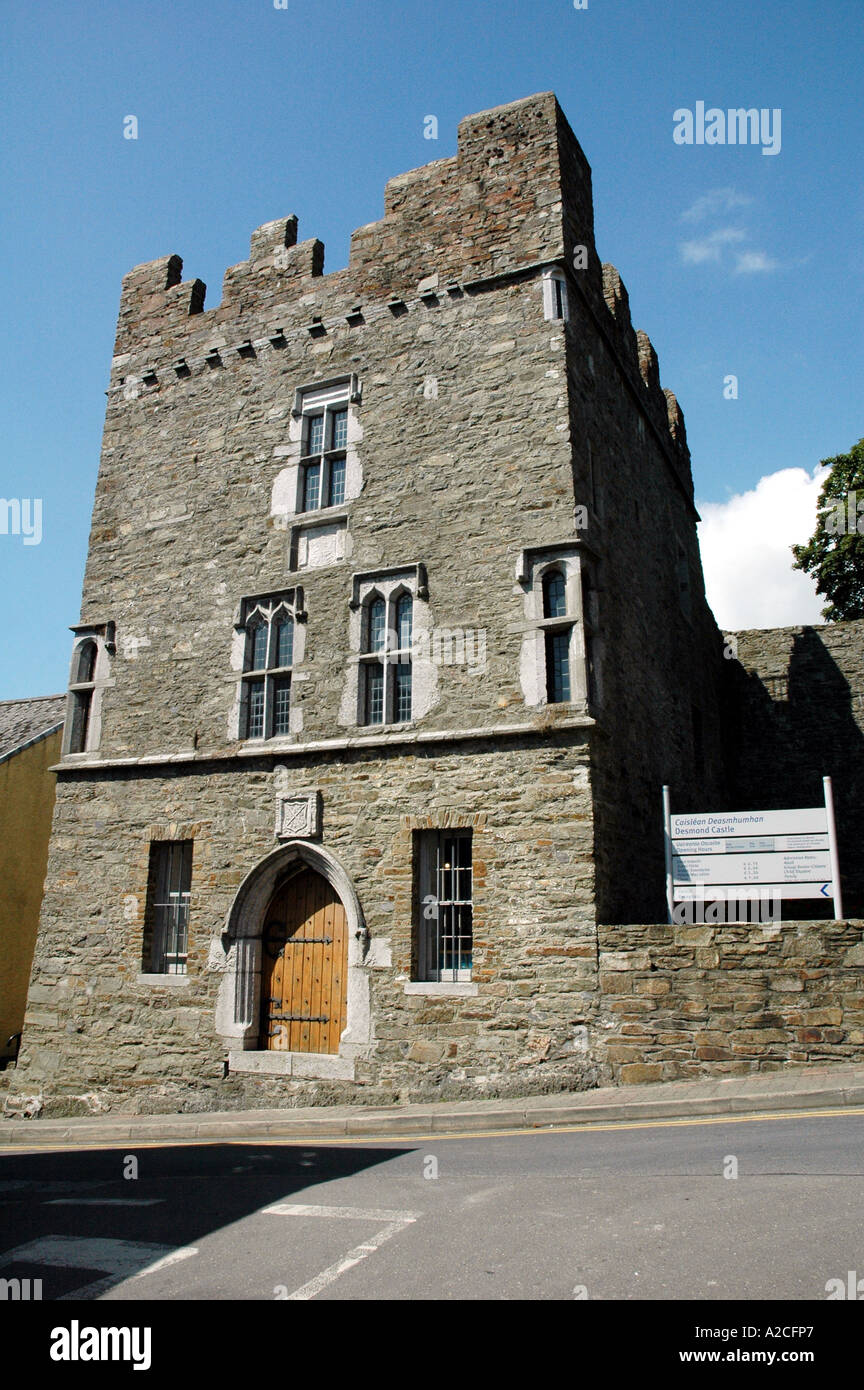 Desmond castle hi-res stock photography and images - Alamy