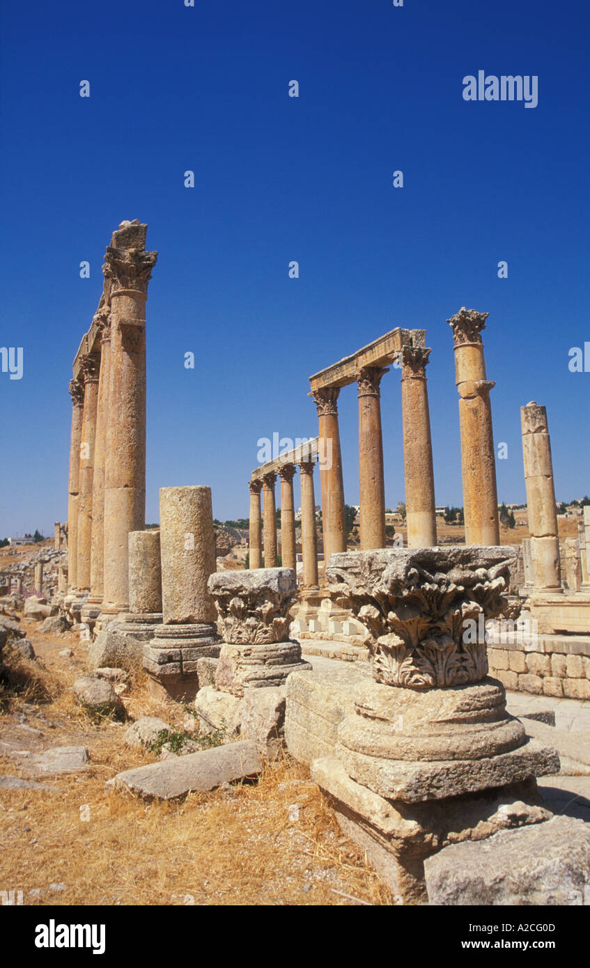 Limestone columns of the Cardo Jarash North Jordan Middle East Stock ...
