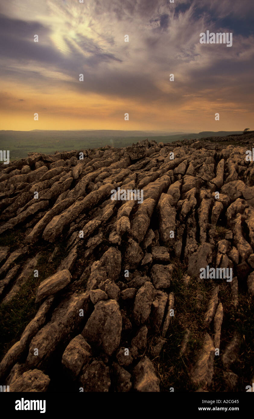 Yorkshire Dales National park Biritsh Landscape Limestone pavement at ...