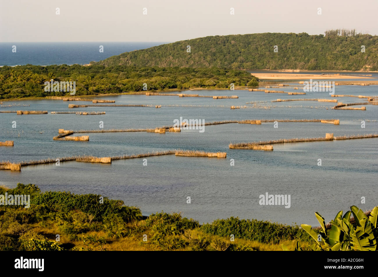 Fish traps in Kosi Bay mouth Maputaland Kwazulu Natal South Africa ...