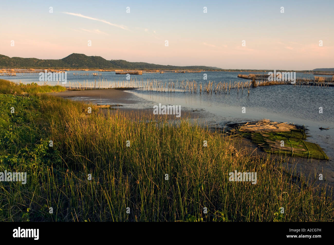 Fish traps in Kosi Bay mouth Maputaland Kwazulu Natal South Africa ...