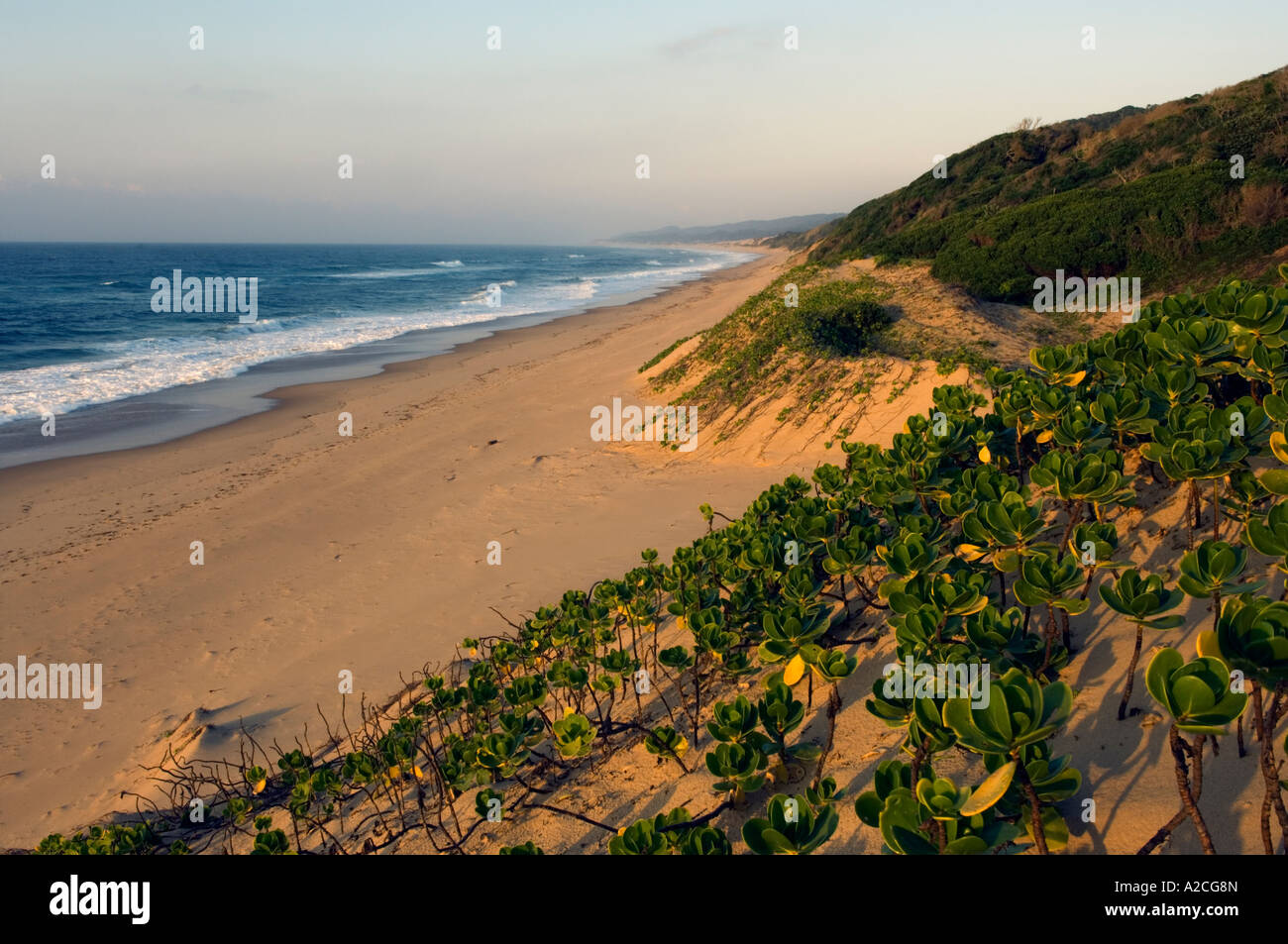 Beach Maputaland Kwazulu Natal South Africa Stock Photo - Alamy