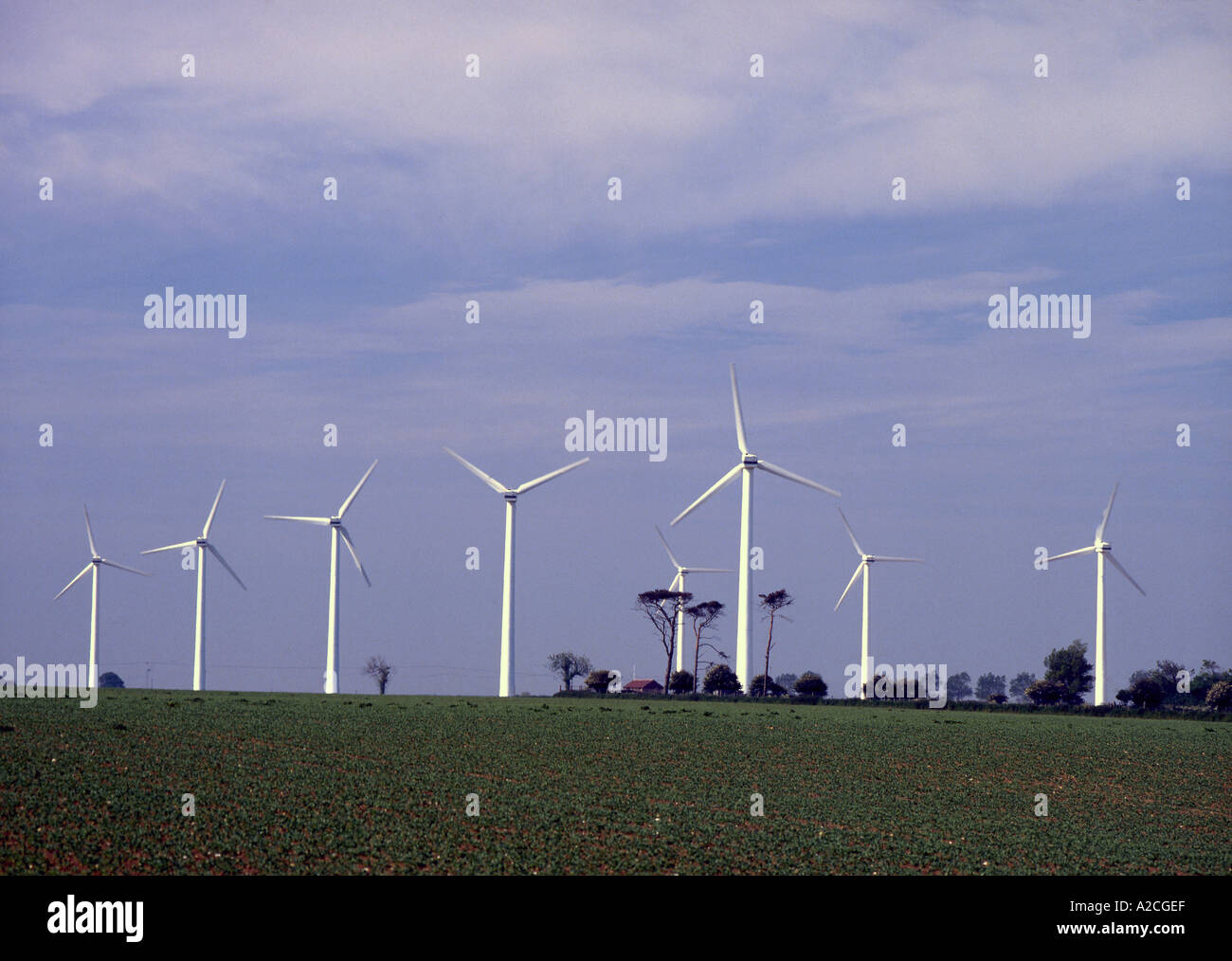 Group of wind turbines to generate electricity in Norfolk England Stock ...