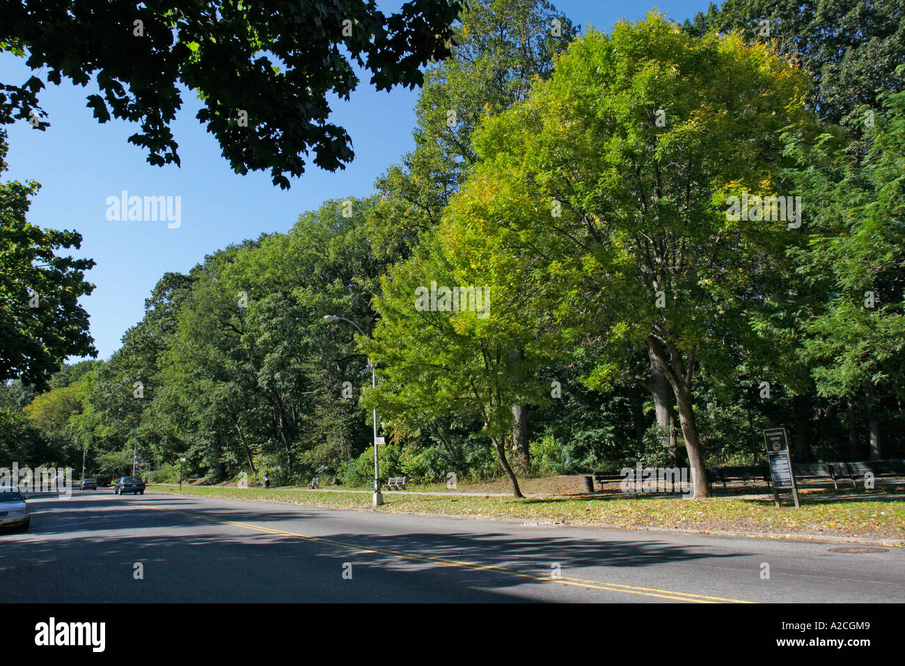 Forest Park Kew Gardens Queens New York Stock Photo - Alamy Forest Park Kew Gardens Queens New York Stock Photo - Alamy