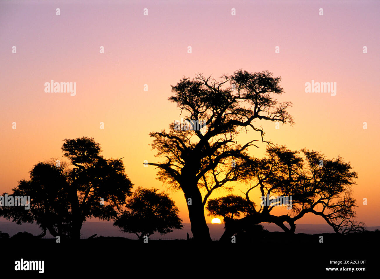 Namibia Namib Desert Sesriem sunset landscape scenery Stock Photo - Alamy