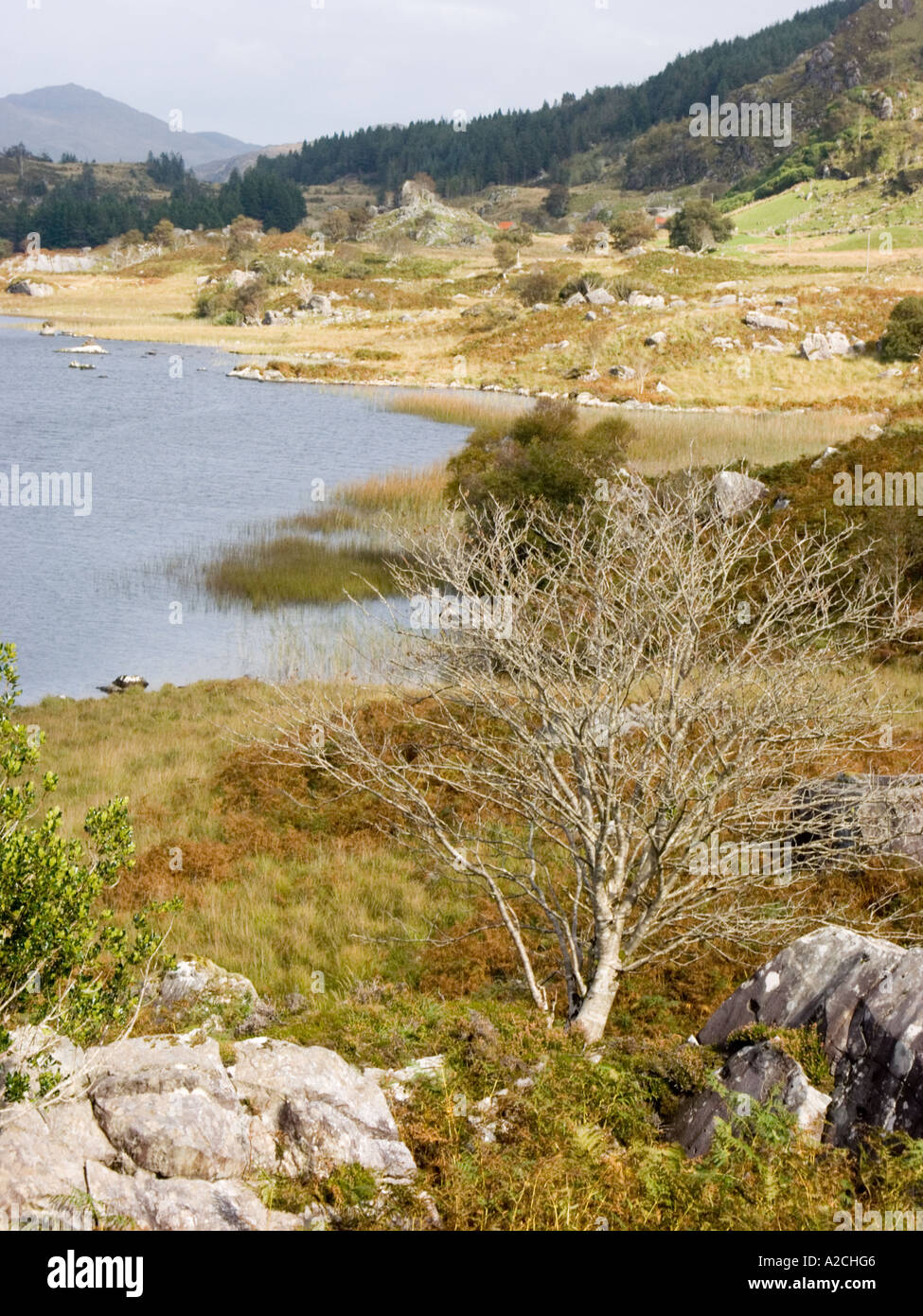 Lakes of Killarney Ireland Stock Photo - Alamy