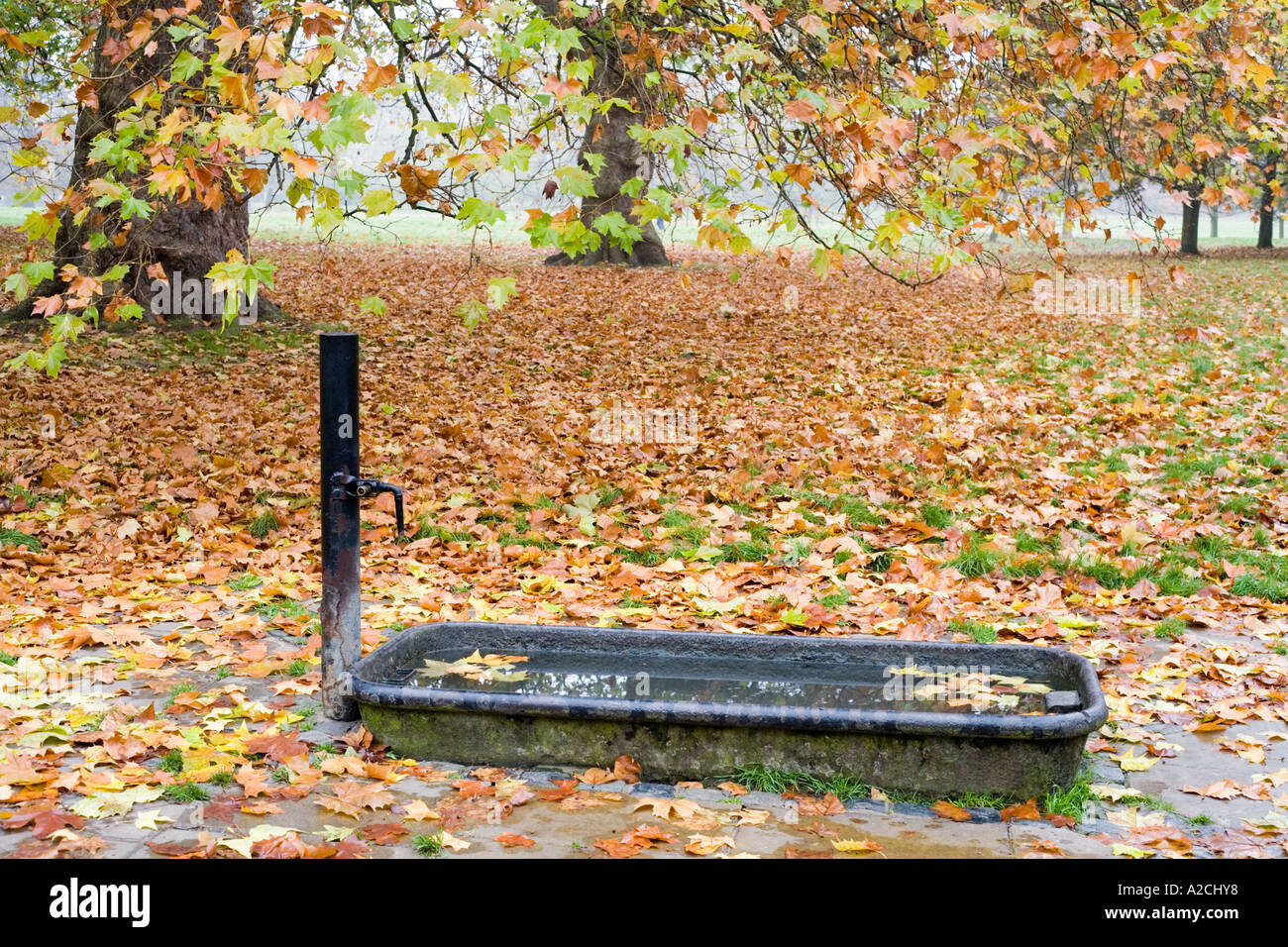 Hyde Park Water Trough London England United Kingdom Stock Photo - Alamy