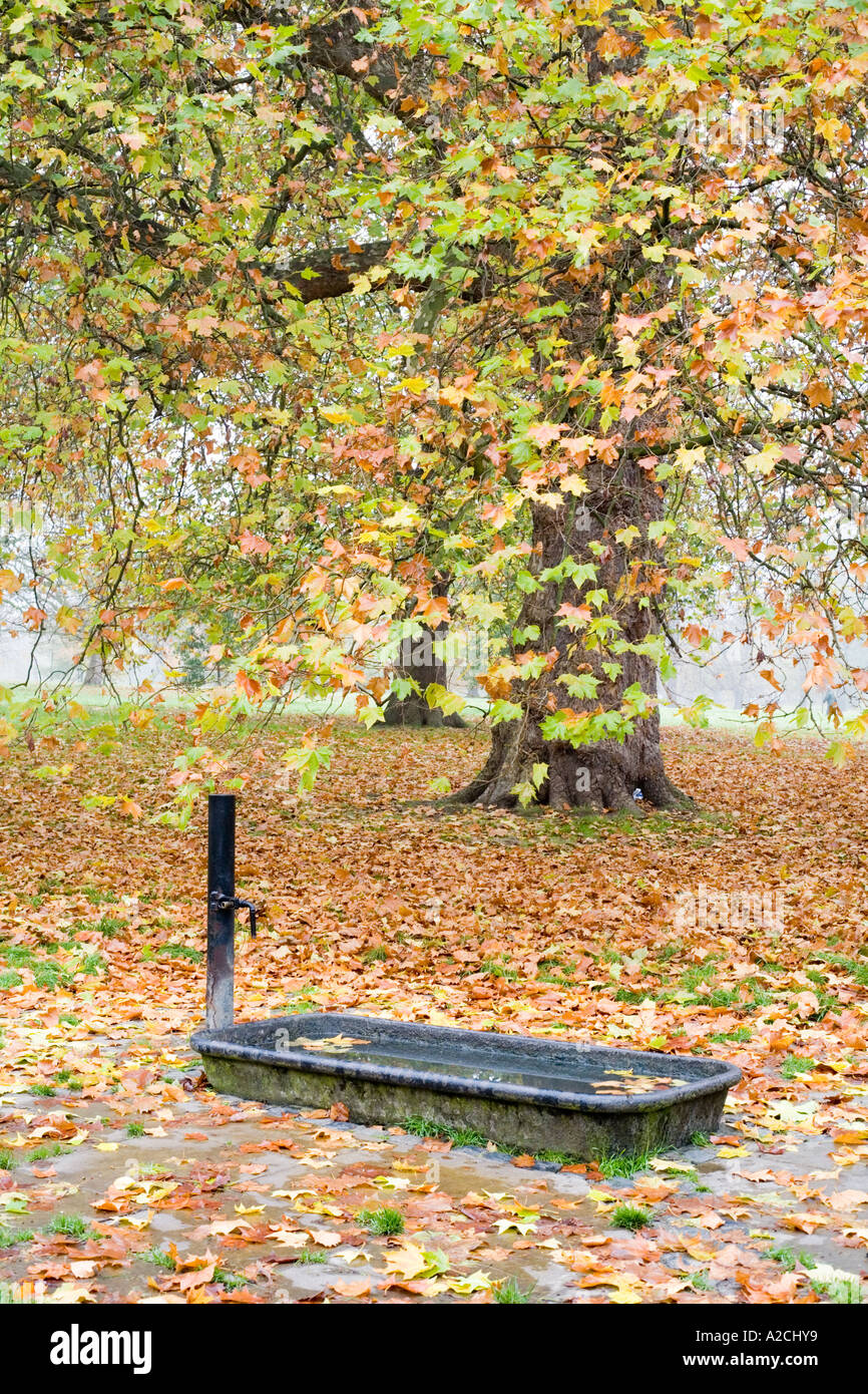 Hyde Park Water Trough London England United Kingdom Stock Photo - Alamy