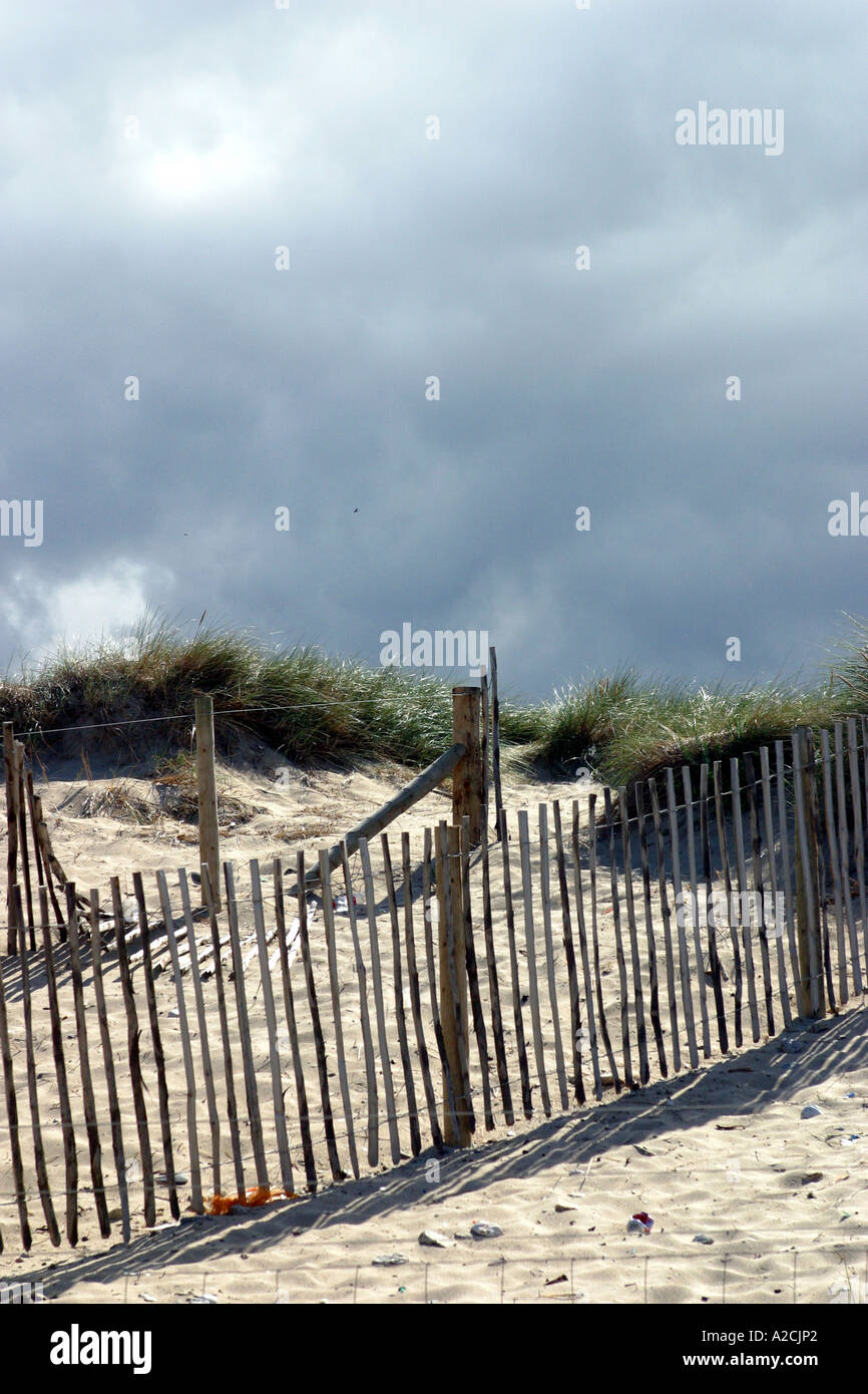 Dune stabilisation hi-res stock photography and images - Alamy