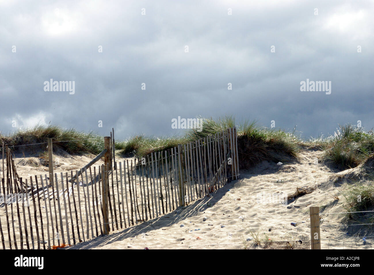 Dune stabilisation hi-res stock photography and images - Alamy