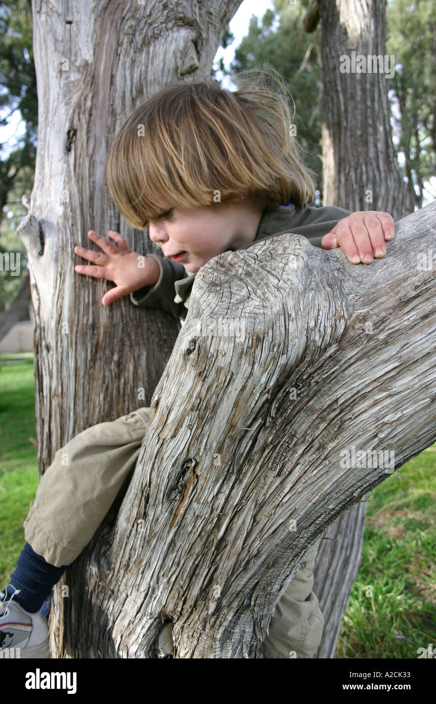 young boy climbing tree Stock Photo - Alamy