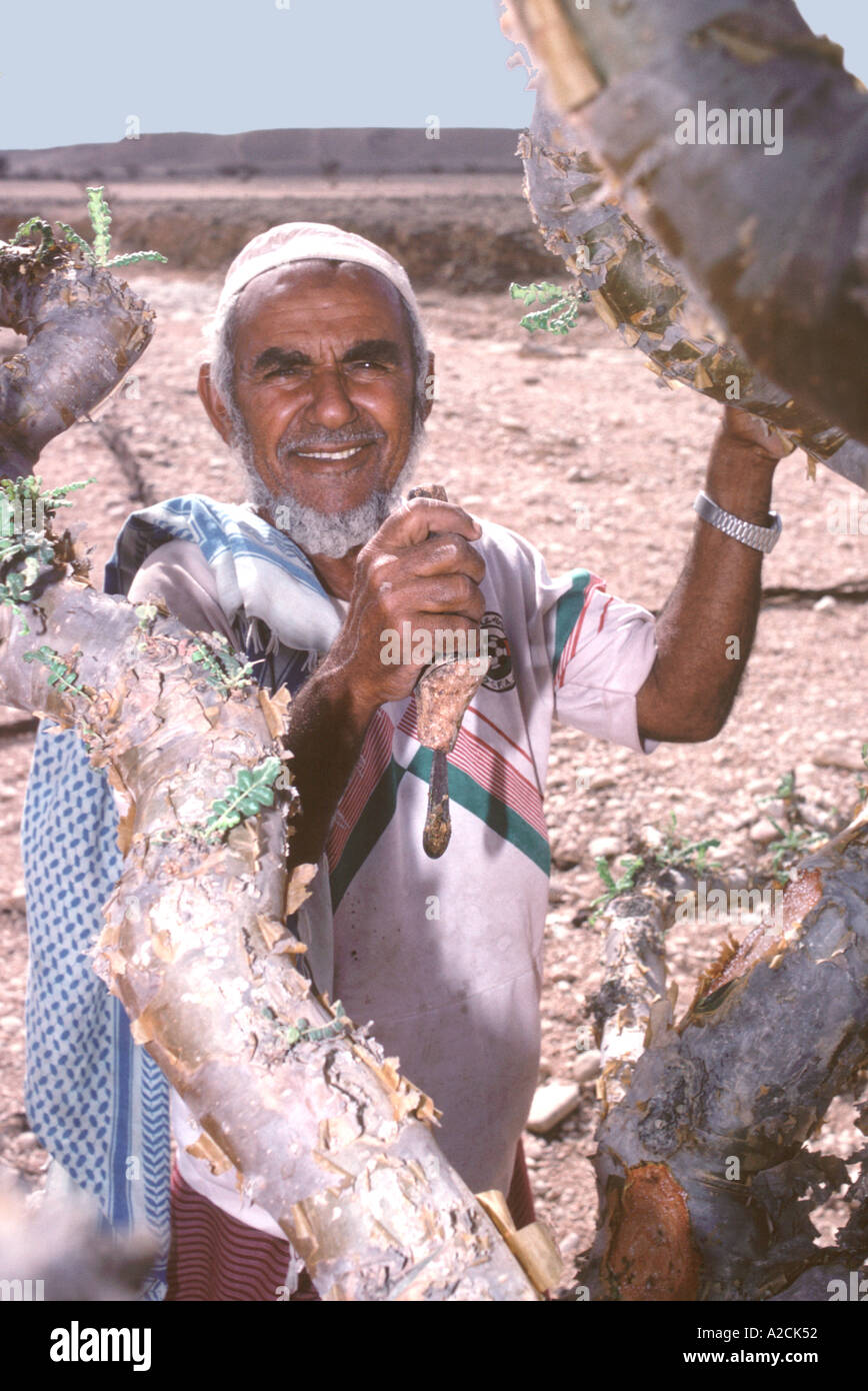 Al suhail hi-res stock photography and images - Alamy