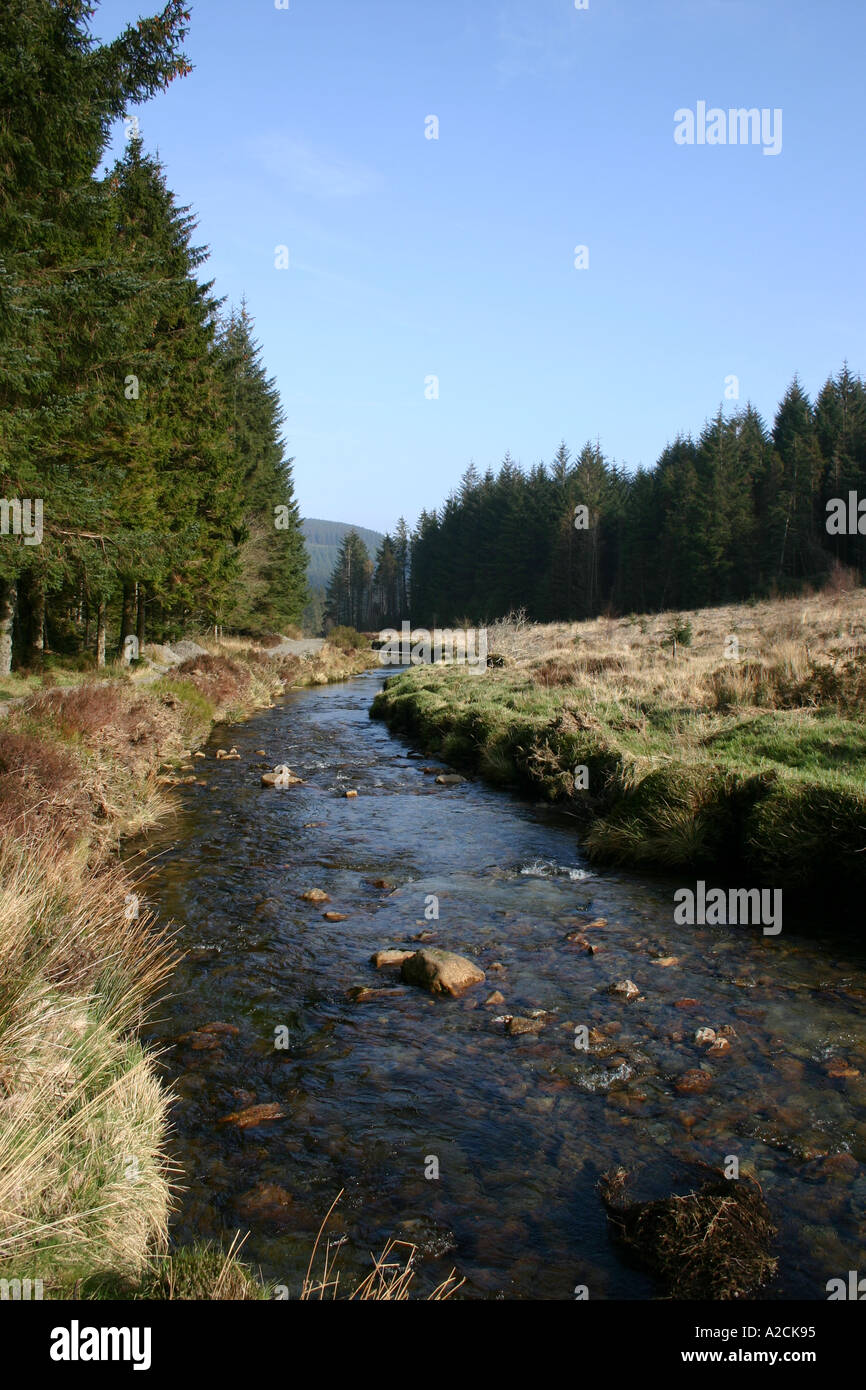River severn powys hi-res stock photography and images - Alamy