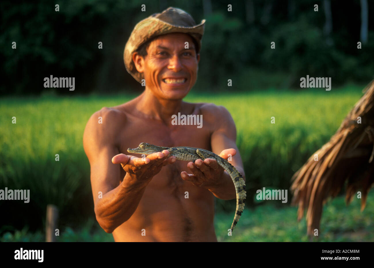 The so called Boa Man is presenting a young caiman. He owns a small ...