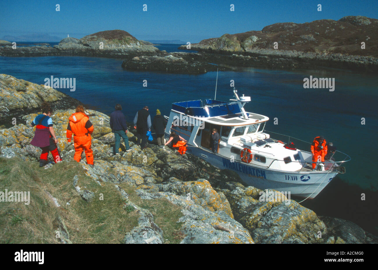 Sea Life Surveys whale watching safari people on shore visit to the ...