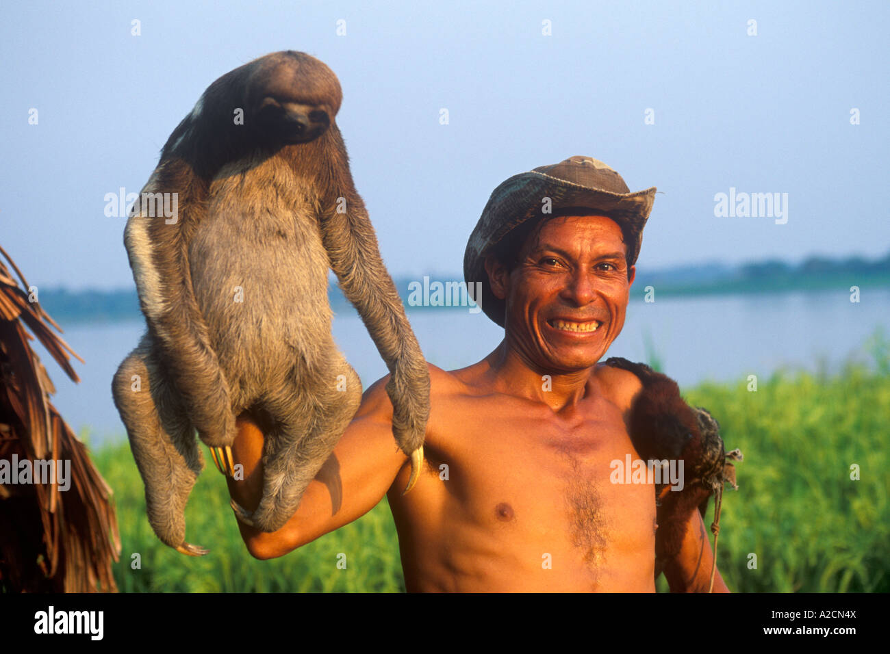 The so called Boa Man is presenting a sloth (Bradypodidae). He owns a ...