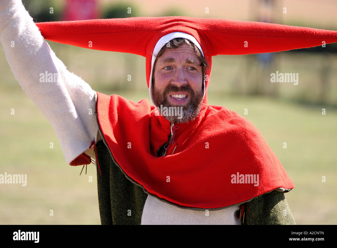 Medieval court jester hi-res stock photography and images - Alamy