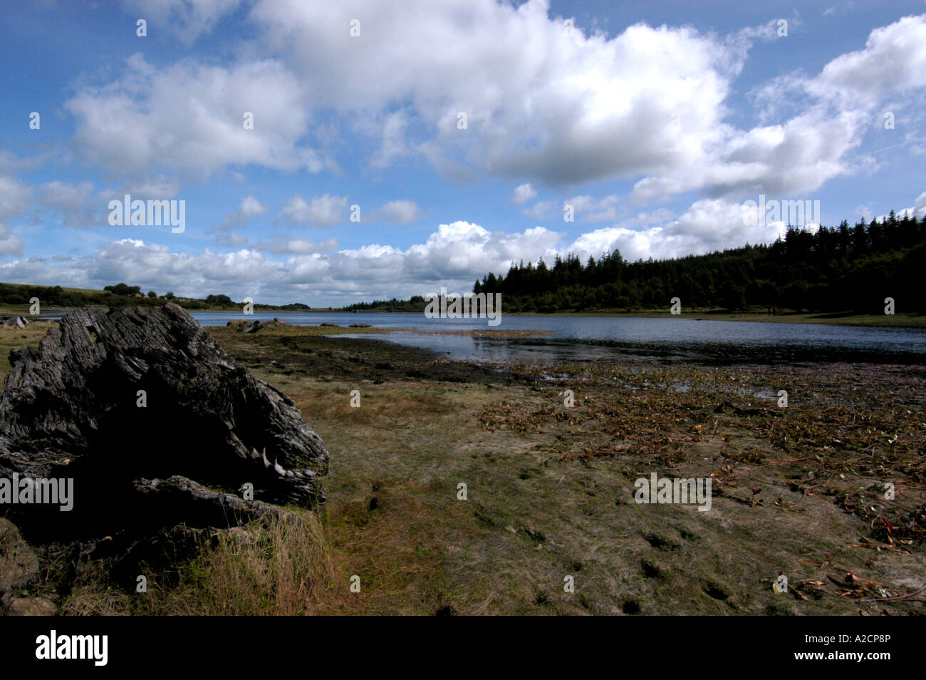 Low water levels and late afternoon sunshine at Fernworthy Reservoir on ...