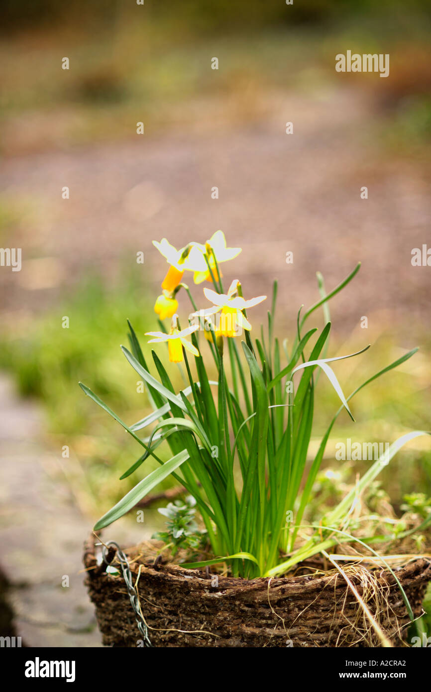 Culture wales hi-res stock photography and images - Alamy