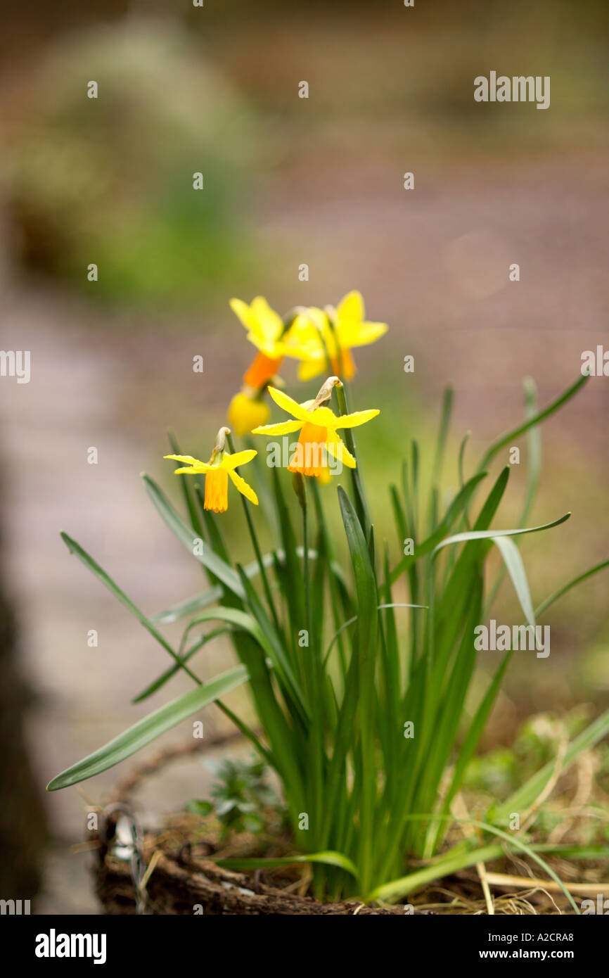 Culture wales hi-res stock photography and images - Alamy