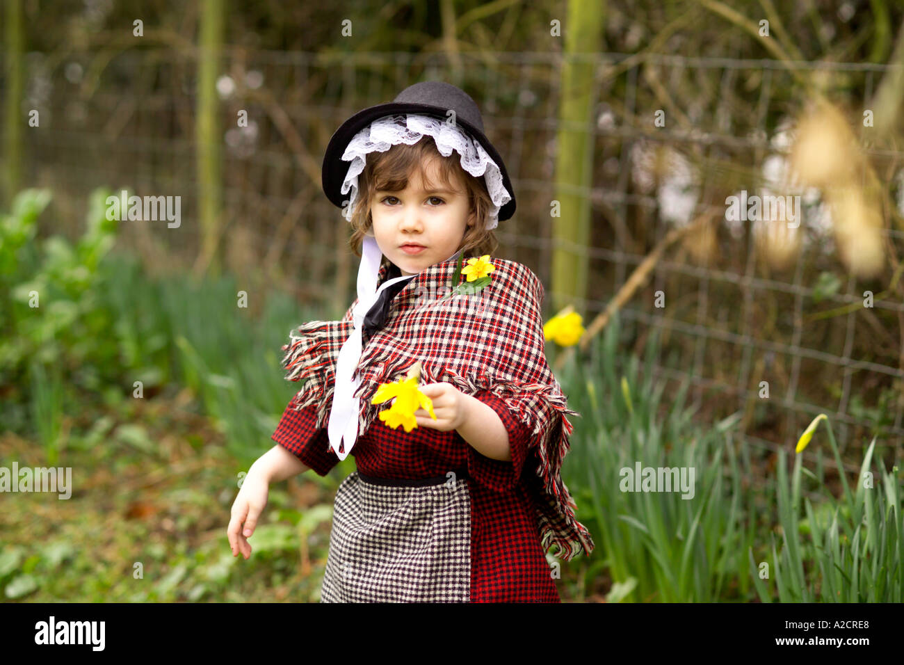 Young Girl in Welsh National Costume Welsh Culture Wales Stock Photo ...