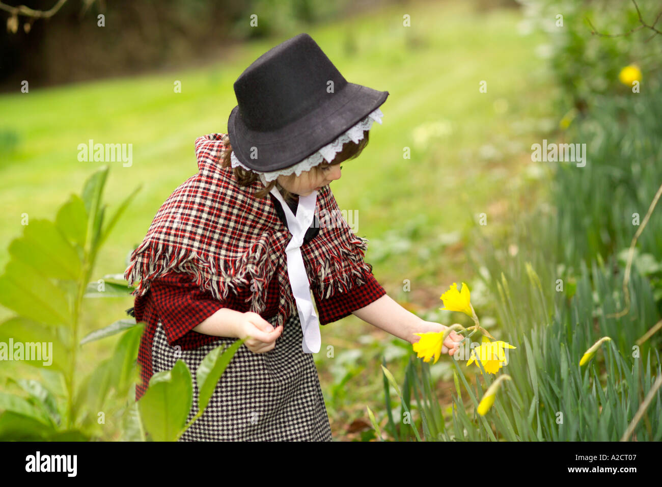 Welsh Lady In Traditional Costume Stock Photos & Welsh Lady In ...