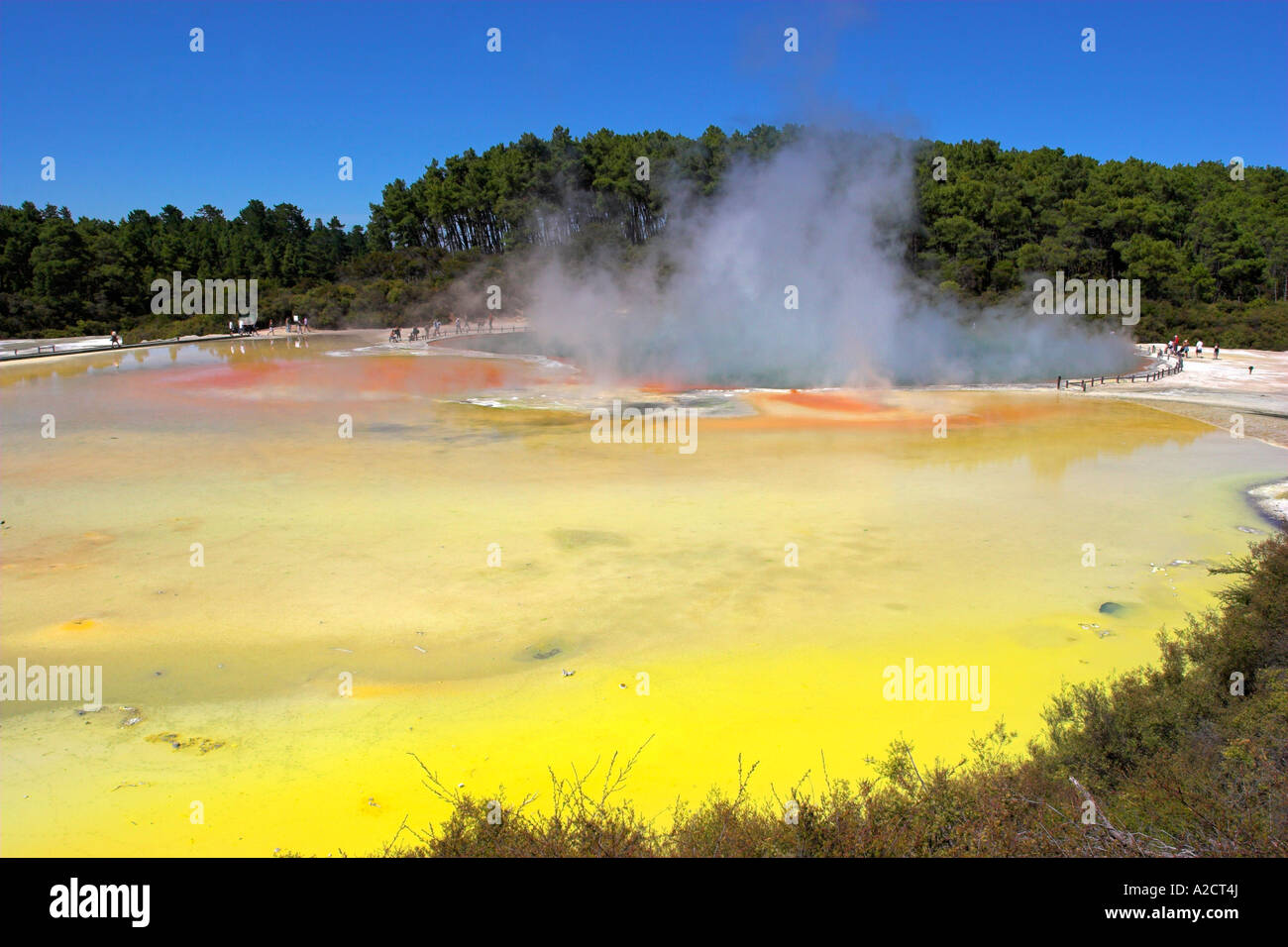 Colourful thermal pools - Artist's Palette - Wai- O-Tapu, North Island ...