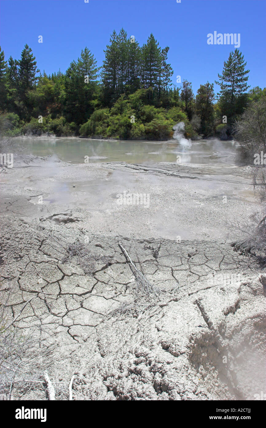 Volcanic Mud Pools at the Wao-O-Tapu thermal park. Rotorua, North ...