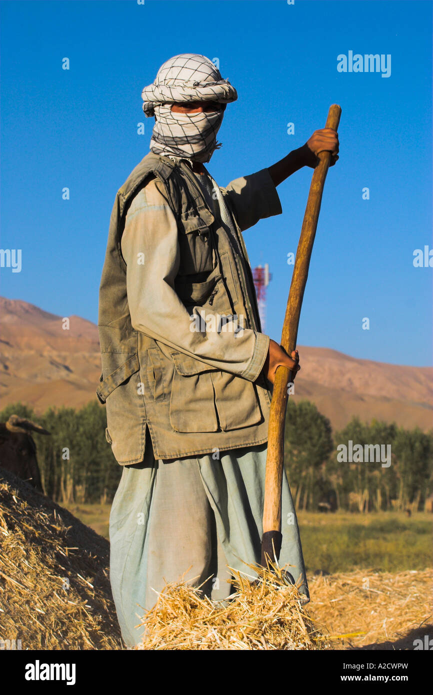 AFGHANISTAN Bamiyan Province Bamiyan Man threshing Stock Photo - Alamy