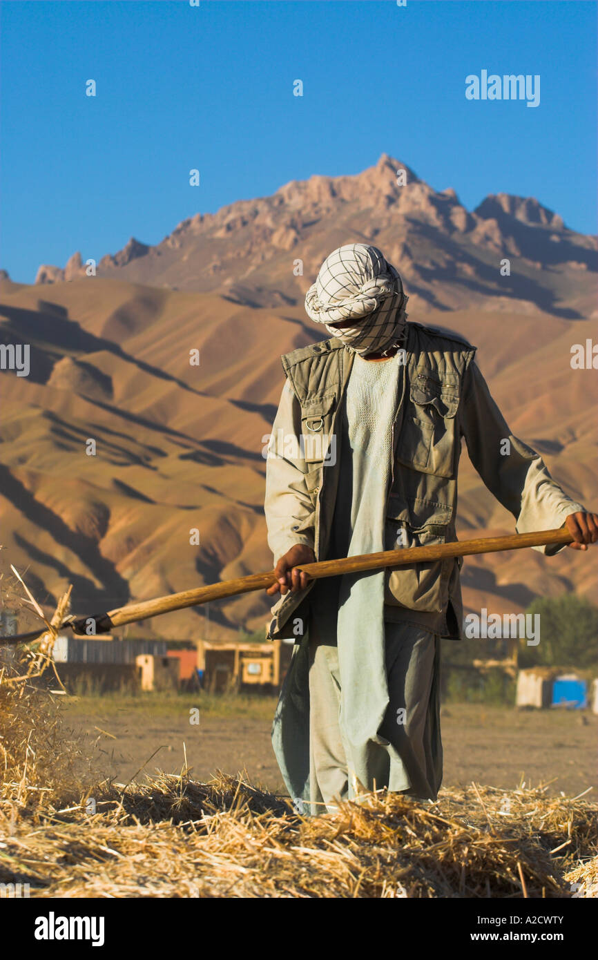 Bamiyan farm hi-res stock photography and images - Alamy