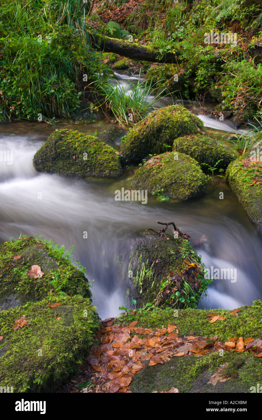 Water through moss covered boulders Stock Photo - Alamy