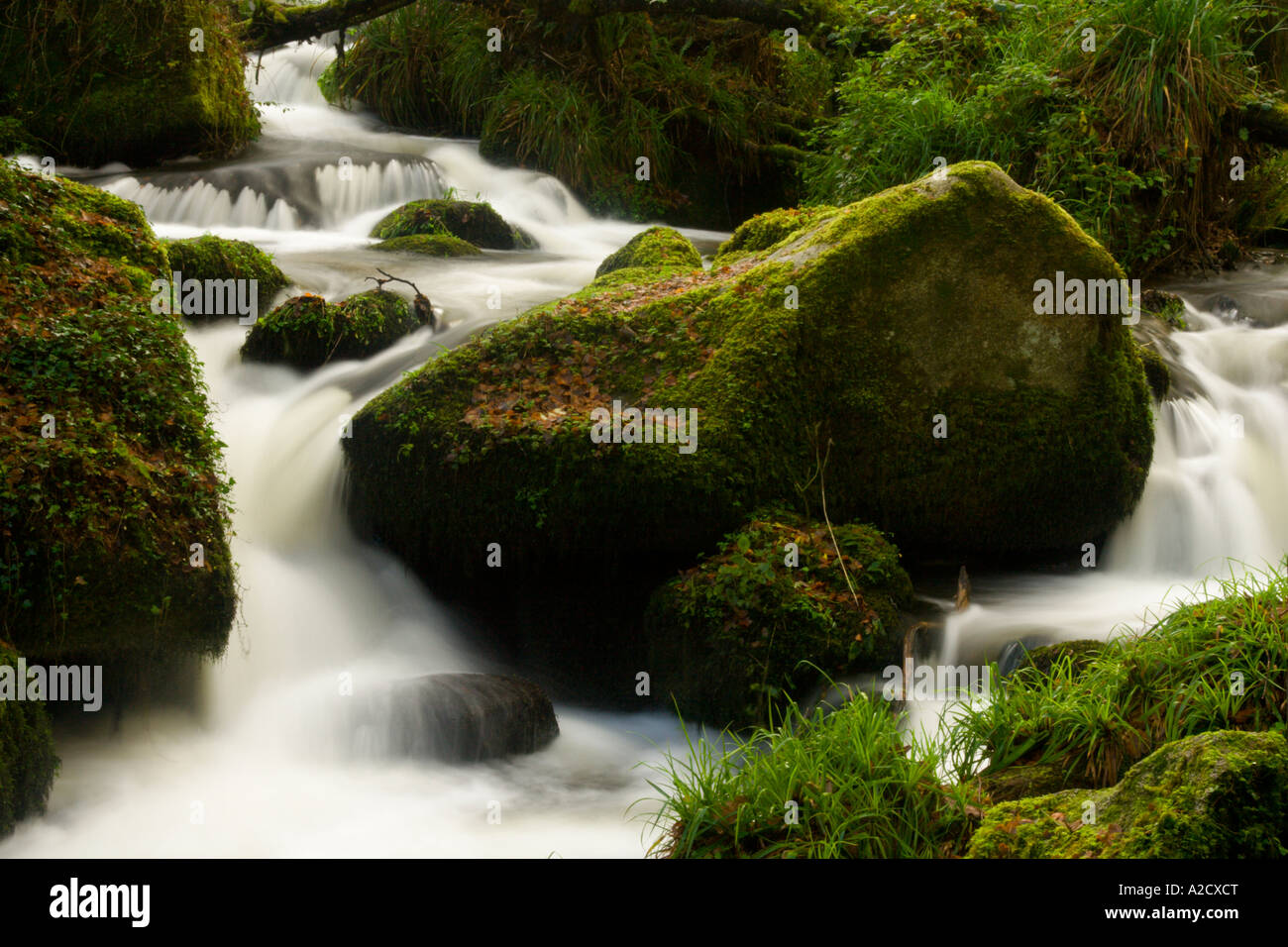 Waterfall at Kennall Vale Nature Reserve Cornwall UK Stock Photo - Alamy