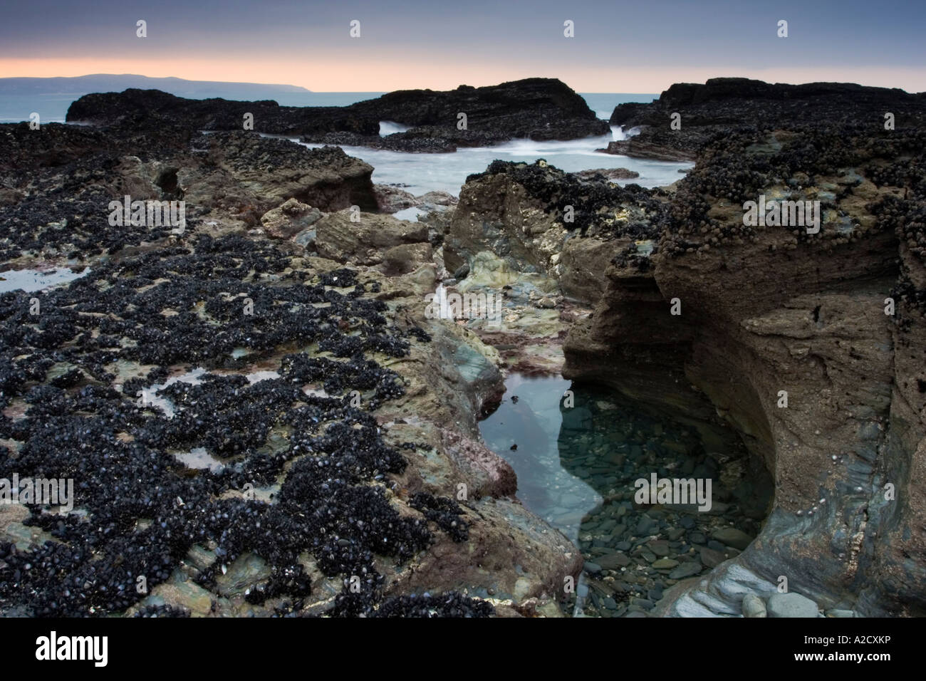 Amongst the rock pools at Godrevy Cornwall UK Stock Photo - Alamy