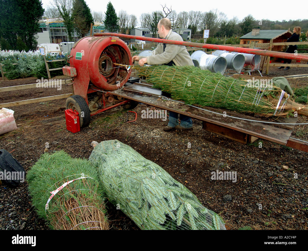 Chesham christmas tree farm hi-res stock photography and images - Alamy