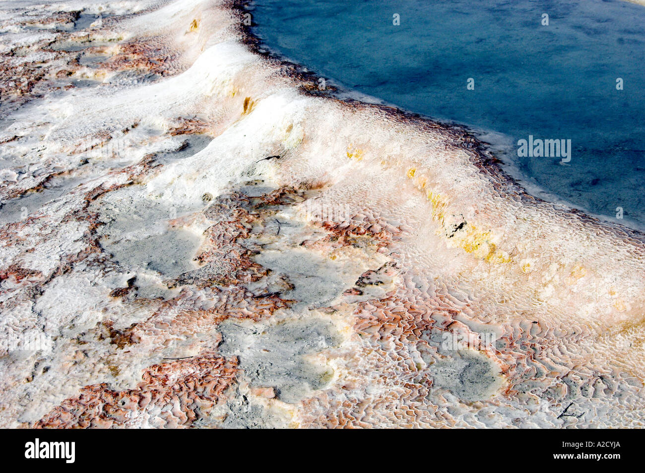 Colorful mineral precipitate at the travertine pools in Pamukkale ...