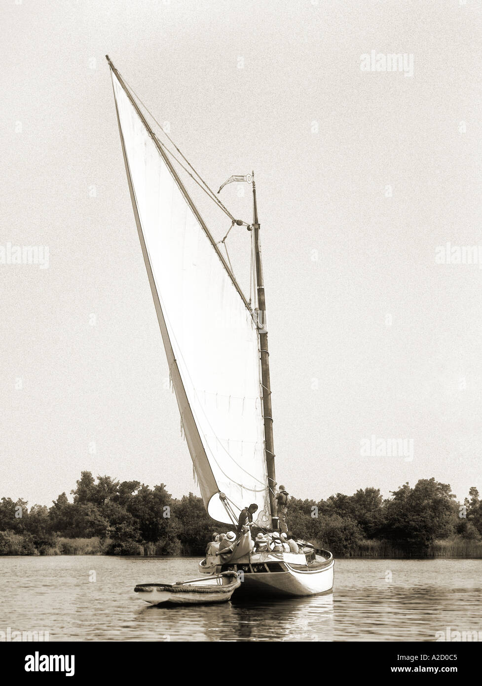 Wherry sailing on the Norfolk Broads in Norfolk England UK Stock Photo ...