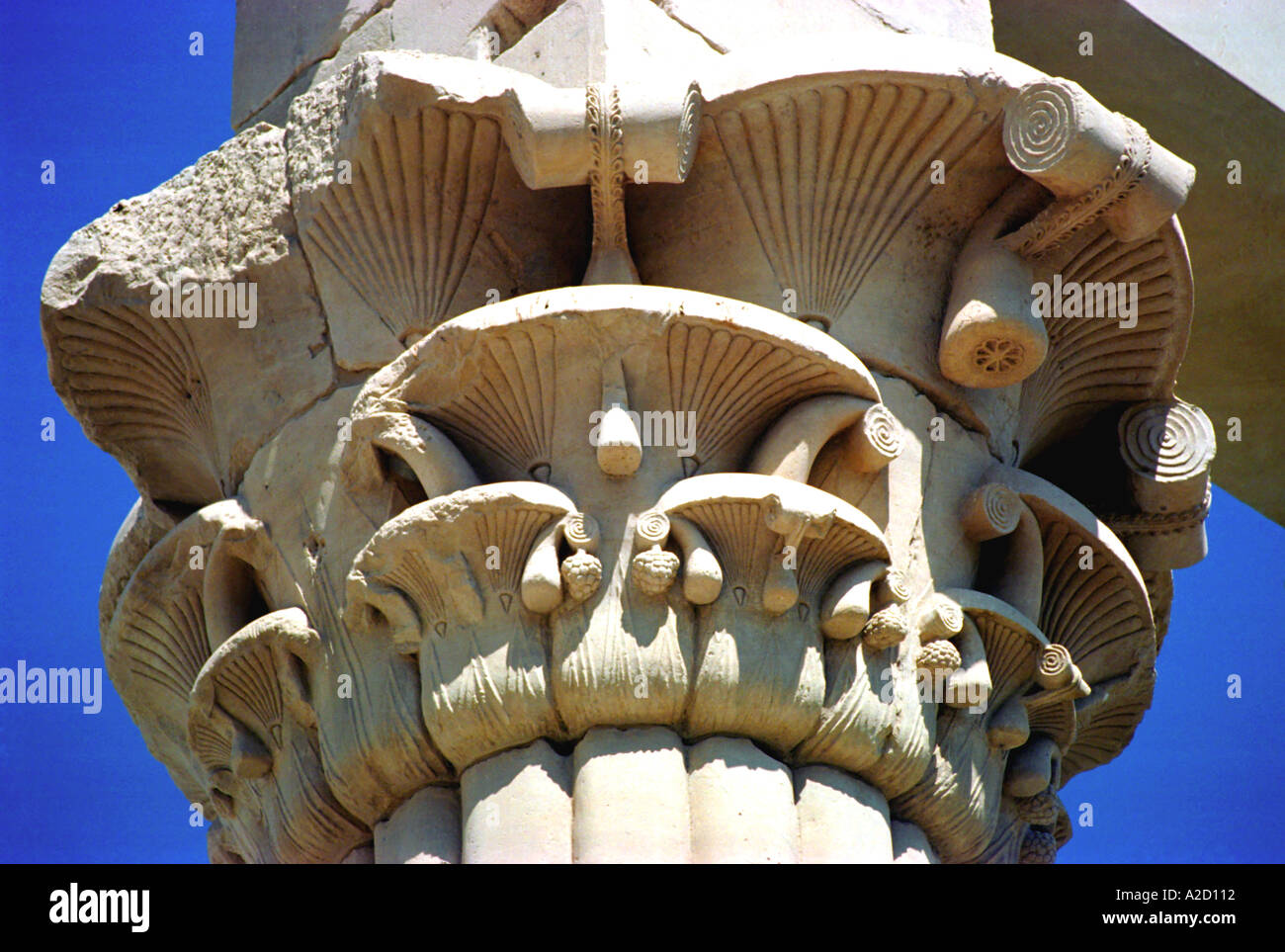 Detail of Column Capital at the Philae Temple near Aswan, Egypt Stock ...