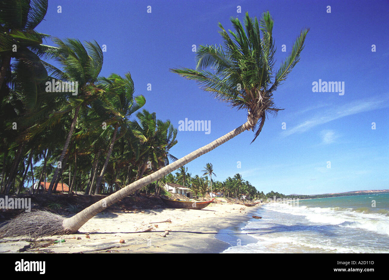 Typical maldives beach hi-res stock photography and images - Alamy