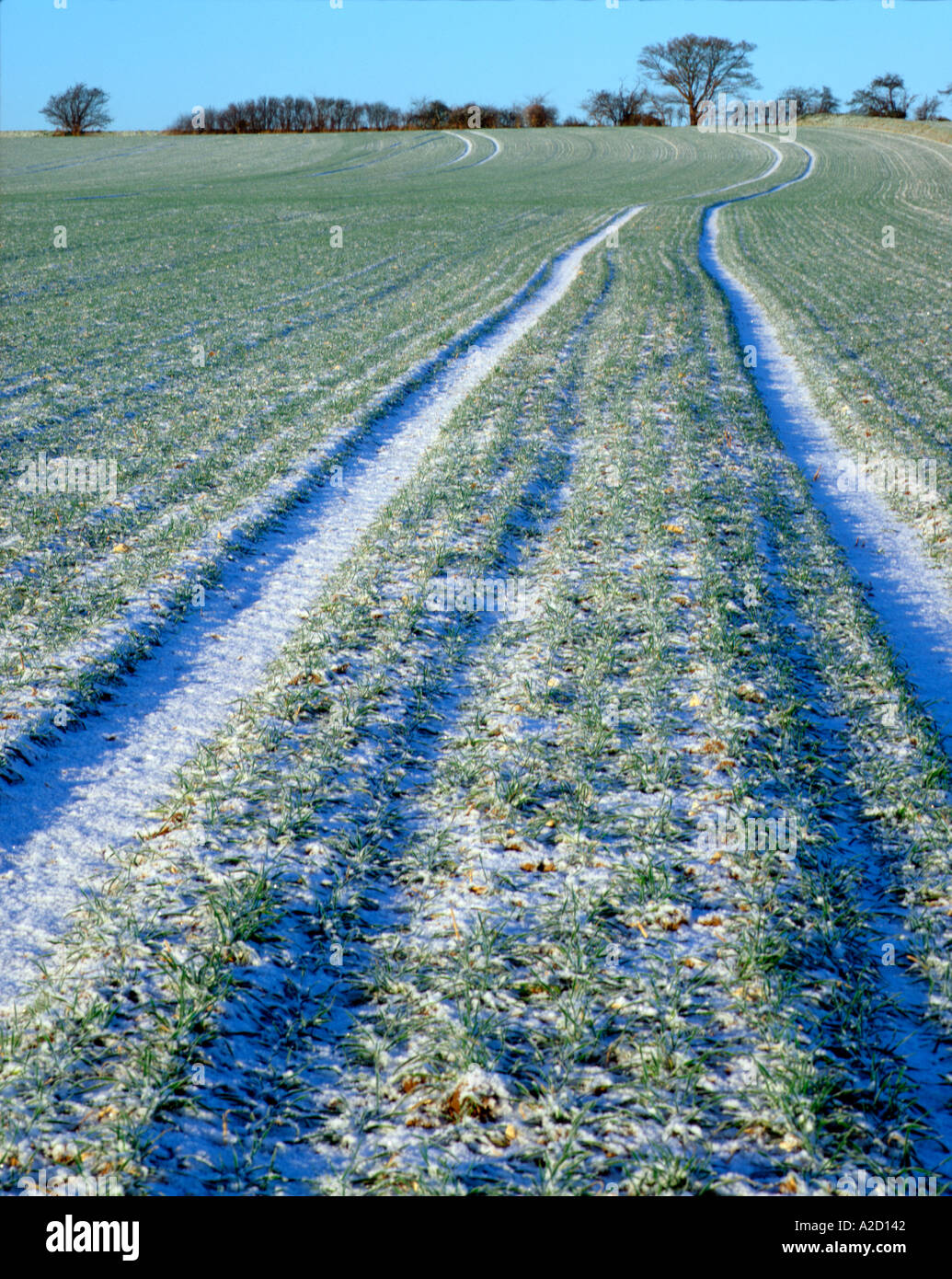 Frozen Farm Tracks Essex England Stock Photo - Alamy