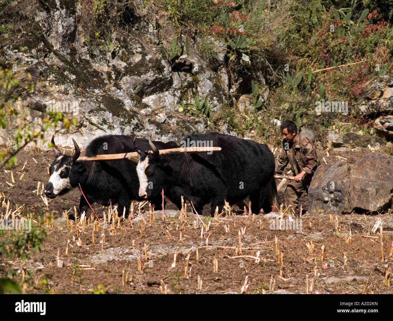 Nujiang hi-res stock photography and images - Alamy