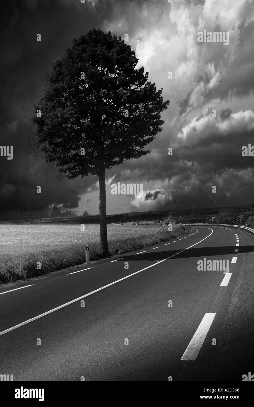 one tree and one road Stock Photo - Alamy