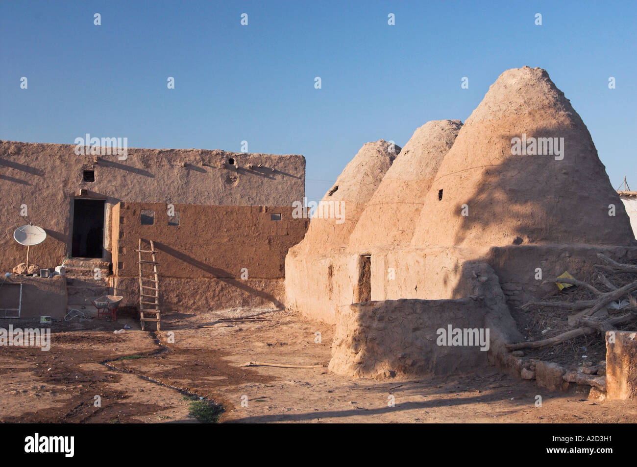 Typical bee hive shaped homes in the village of Harran Turkey Stock ...